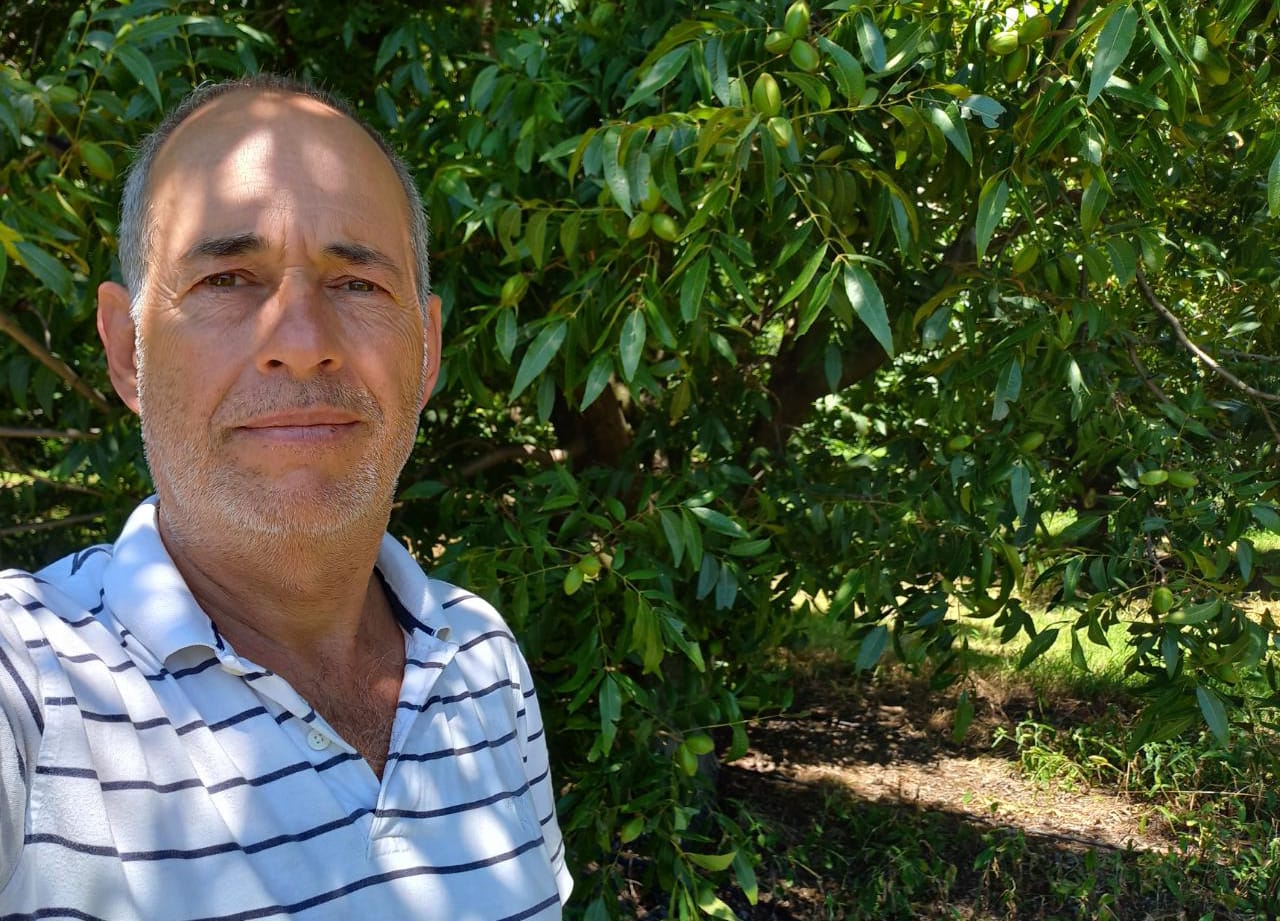 El Cultivo del Pecán como alternativa